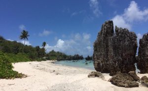 Nauru's Demographics & Population Dynamics - Japan Children Rights
